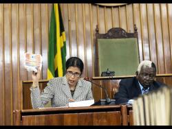 Results-based management system to make CARICOM more efficient | Lead ...